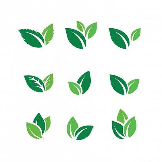 Set of green leaf logo design inspiration vector icons Premium Vector-花瓣网