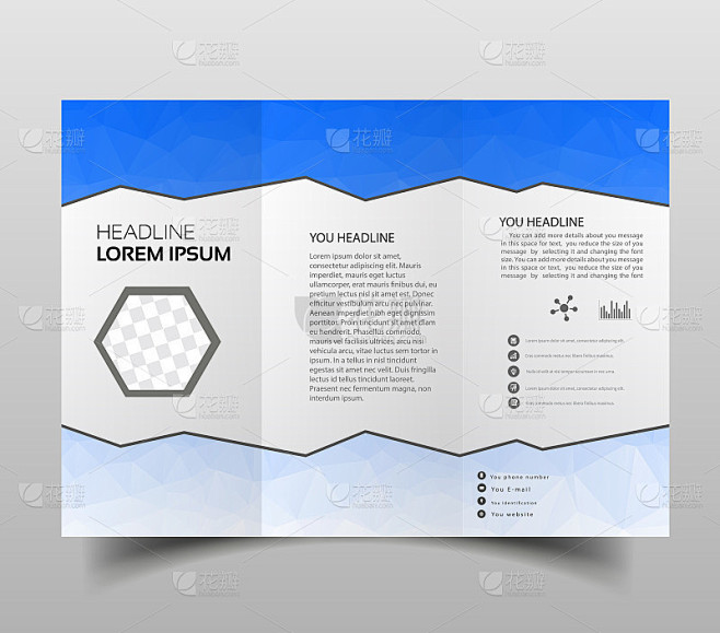tri-fold brochures, square design templates. Molec