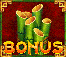 panda_bonus.gif (250×216)-花瓣网
