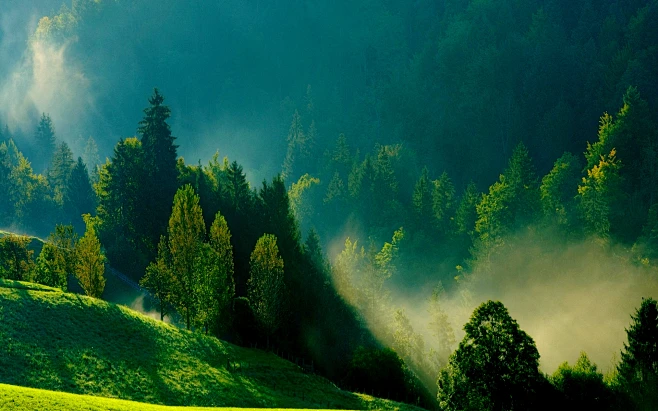 mist wallpaper-花瓣网