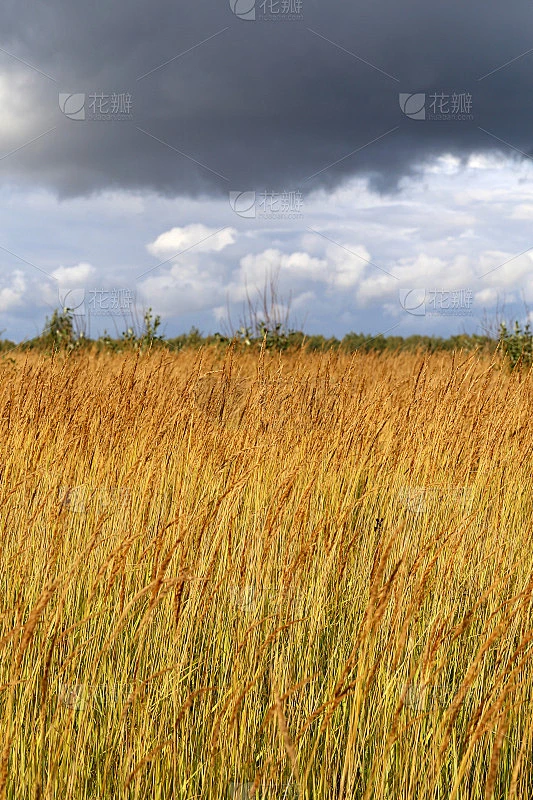 秋天的田野和天空素材-花瓣网
