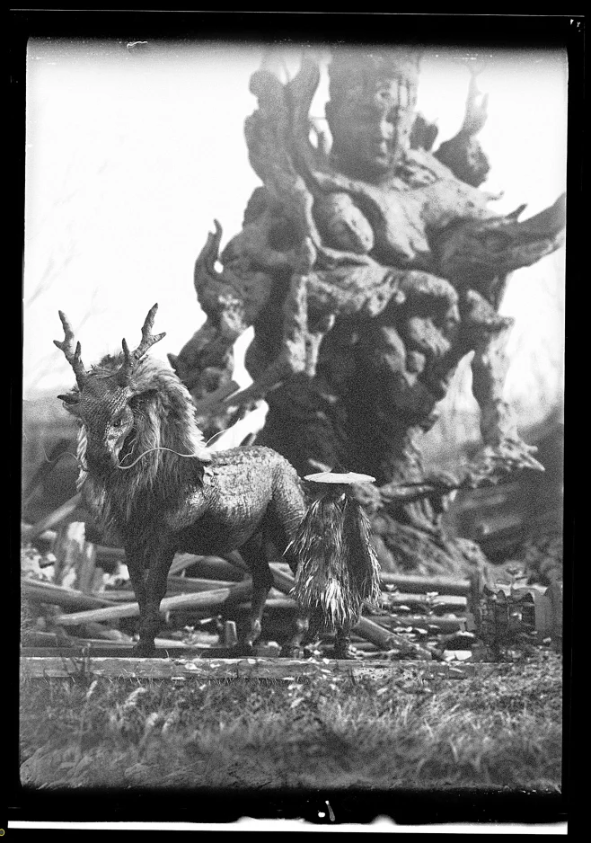 Top Creative Work On Behance : Showcase and discover creative work on ...