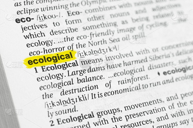 突出英文单词“ecological”及其定义