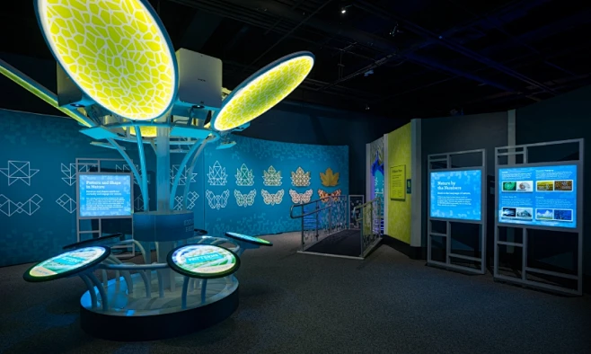 Luci-MSI-BFI-4-花瓣网