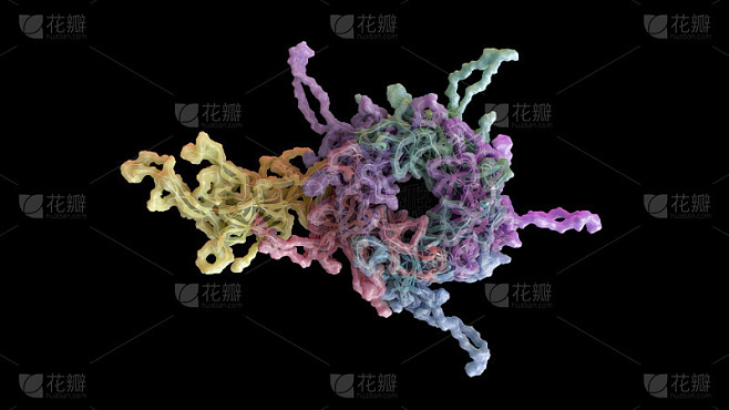 基于PDB: 3J6R (capsomere)科学准确的人乳头状瘤病毒(HPV)衣壳结构的3D CG