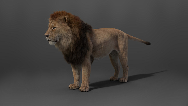 superb-cg-jf0la12a9-lion-effect-map09