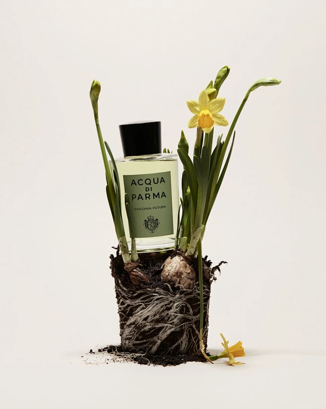 Marie Claire Magazine - Photographer Mathieu Trautmann-花瓣网