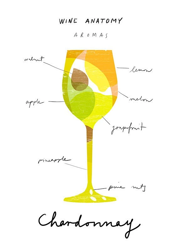 Wine Anatomy: Chardonnay-花瓣网