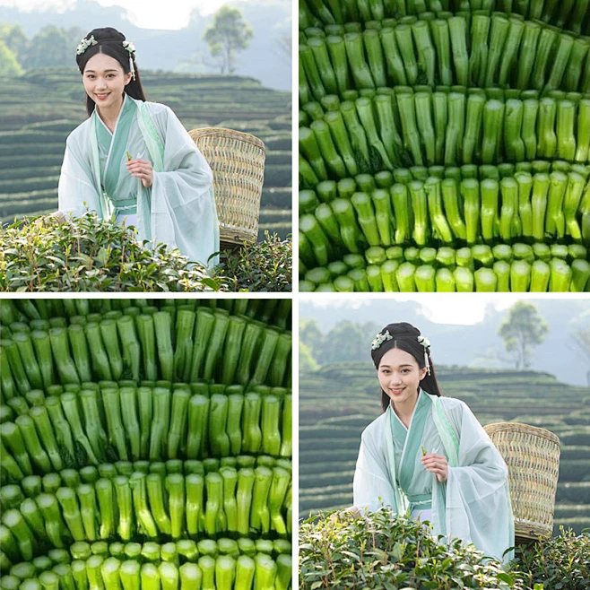 广告素材搜索 - AppGrowing - 有米云-花瓣网