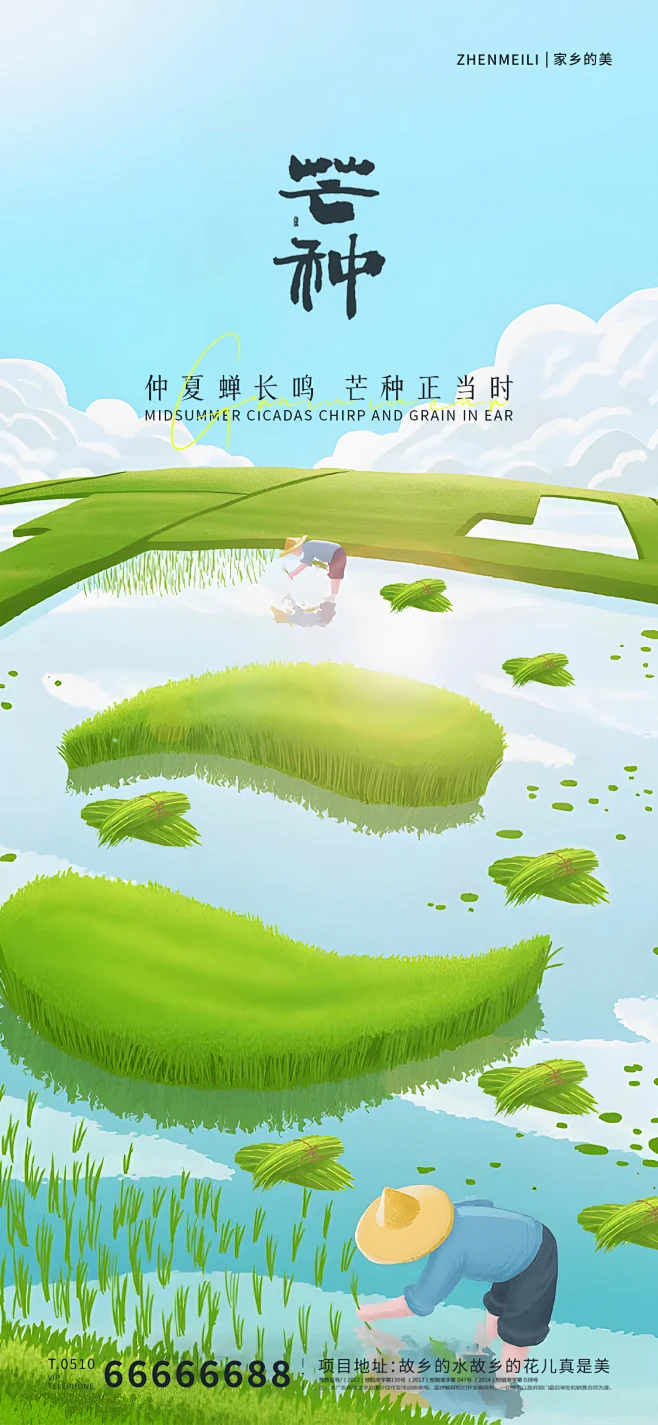 芒种节气海报-花瓣网