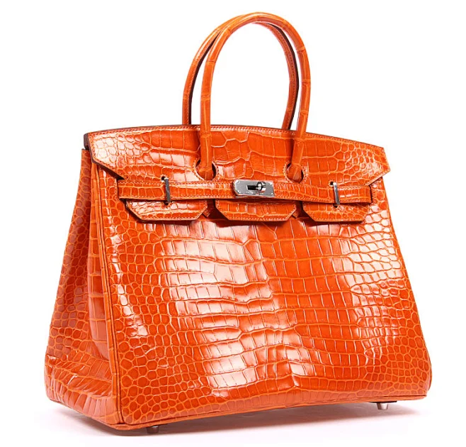 爱马仕多颜色鳄鱼皮包的搜索结果_百度图片搜索-花瓣网