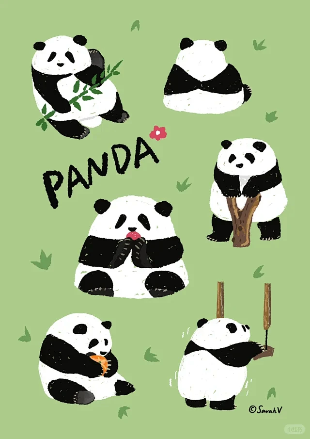 熊猫花花 - 小红书搜索-花瓣网