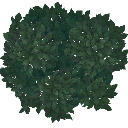 S1_MediumTree_Leaves_01.(Texture)