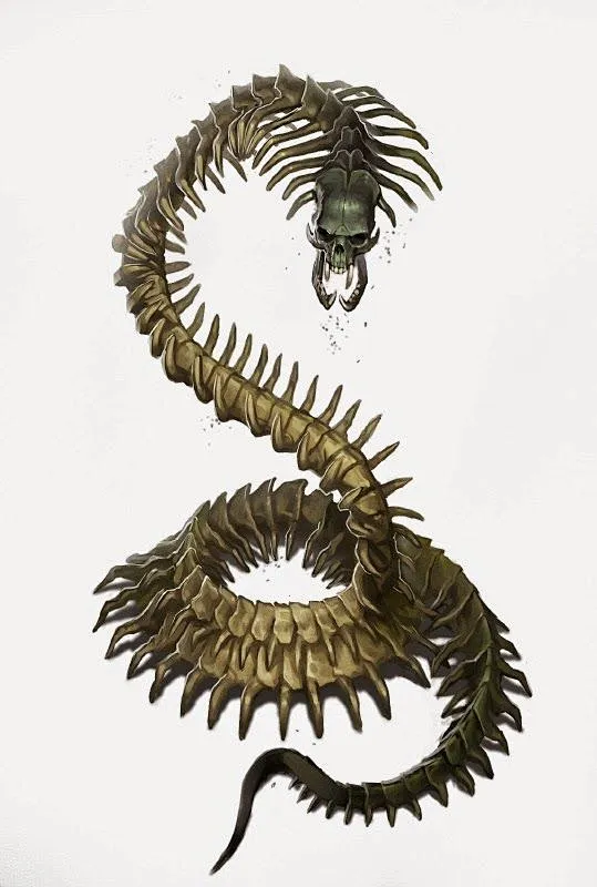 Necrophidius-花瓣网