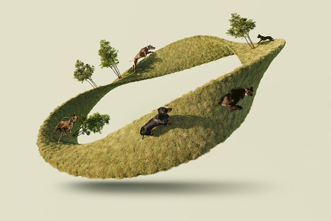 loop-dogs-playing-concept-collage