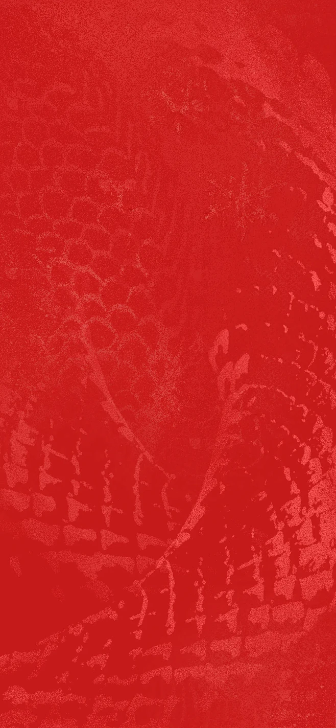 中国风红色通用类祝福问候蛇年大吉手机全屏海报-花瓣网