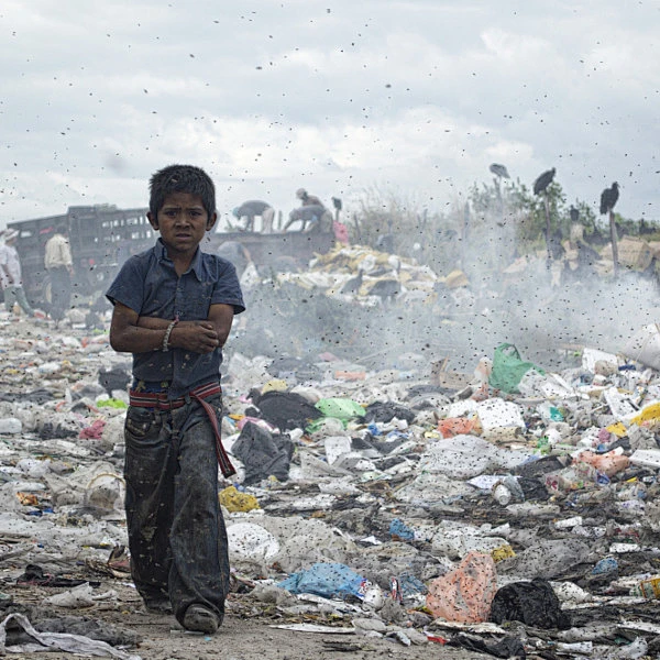 Flow / 500px-花瓣网