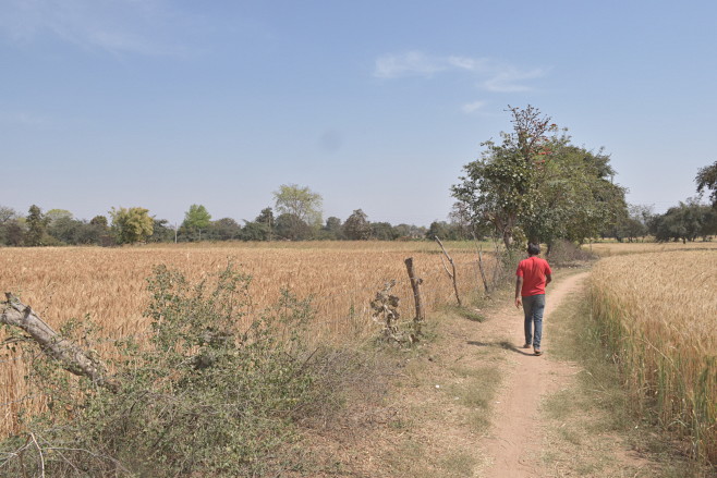 India_Countryside_035