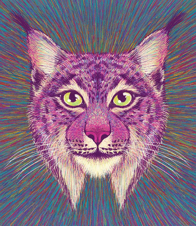 wildlife Digital Art ILLUSTRATION editorial animal endangered ...