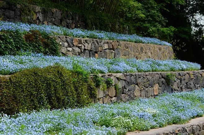 9e93ad8820184ca890204df90ce9a53b.jpeg (1000×662)-花瓣网