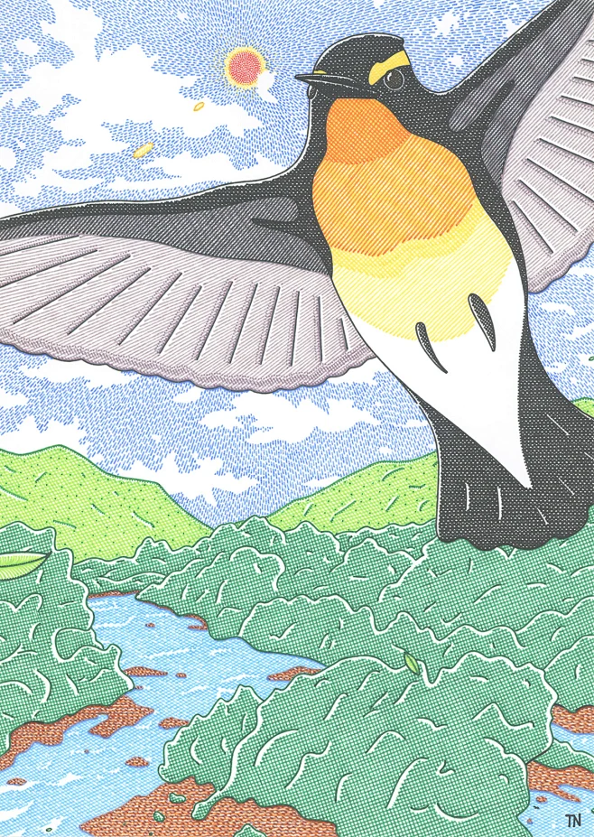 takashinakamura takashi nakamura арт ILLUSTRATION Drawing artwork Pencil drawing japan 中村隆 ペン-花瓣网