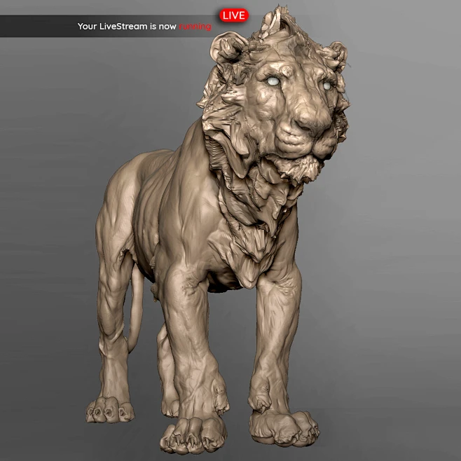 Lion '25 - LiveStream -花瓣网