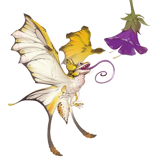 Butterfly Dragon-花瓣网