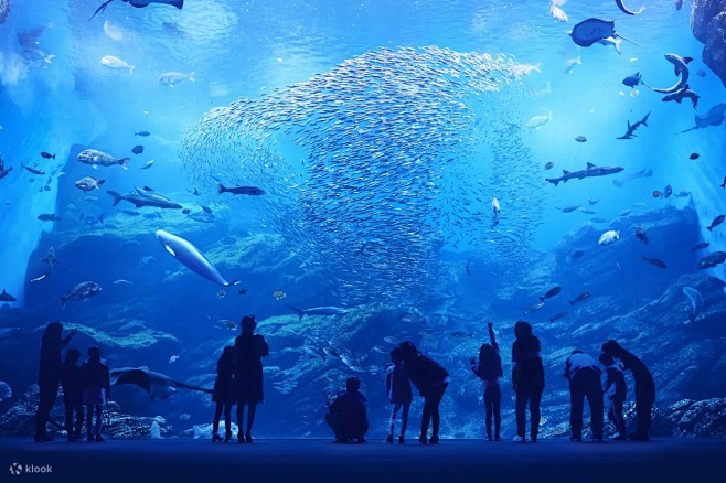 %E4%BB%99%E5%8F%B0%E6%B5%B7%E6%B4%8B%E6%A3%AE%E6%9E%97%E6%B0%B4%E6%97 ...