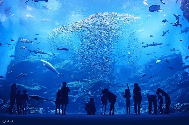 %E4%BB%99%E5%8F%B0%E6%B5%B7%E6%B4%8B%E6%A3%AE%E6%9E%97%E6%B0%B4%E6%97 ...