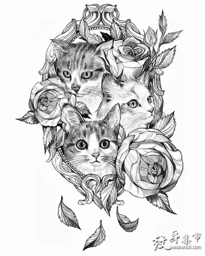黑白插画 猫猫-花瓣网