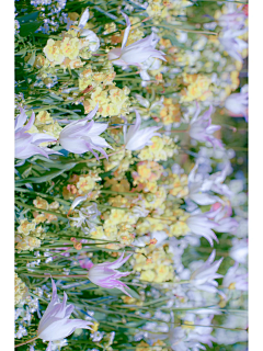 PPT | 底图、配图-花瓣网|陪你做生活的设计师 | image