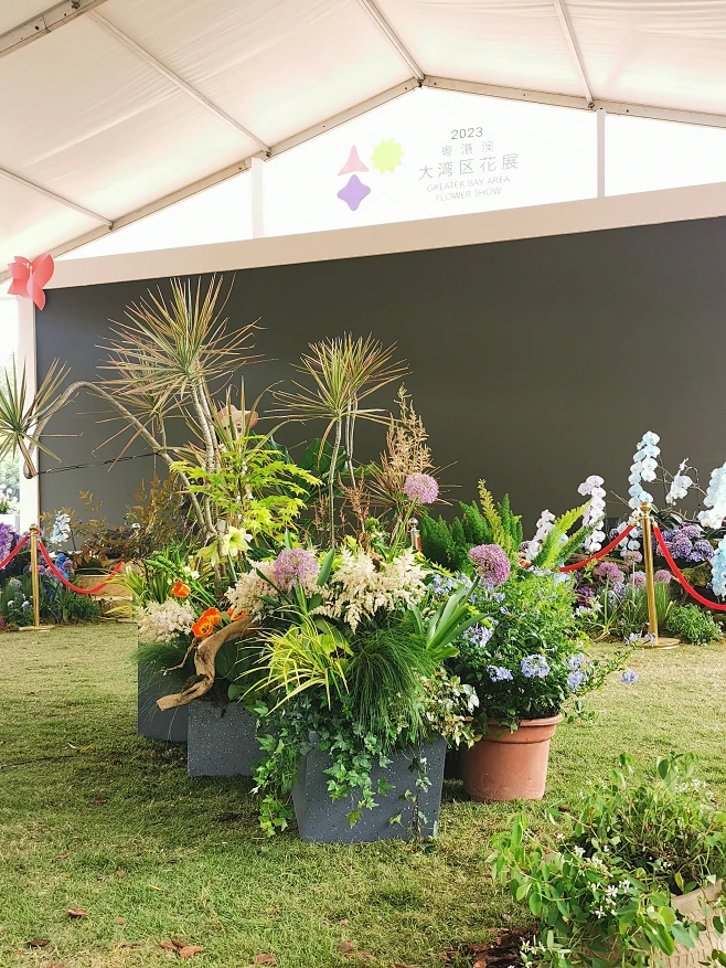 IMG_20230410_162141-花瓣网