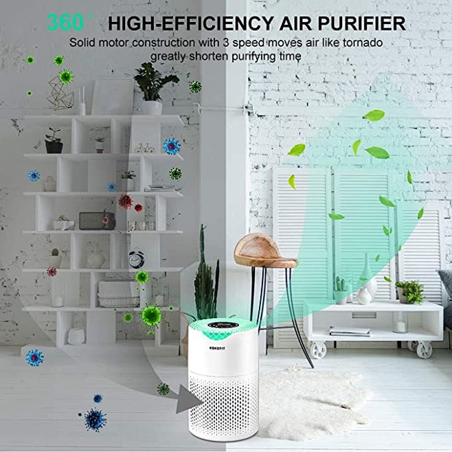 Amazon.com: KOKOFIT 小型便携式空气净化器 适用于家庭大房间 带真正的 HEPA 过滤器空气净化器 适用于过敏和宠物、吸烟者 ...
