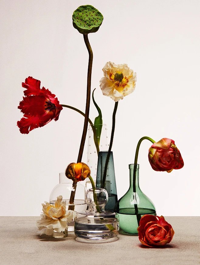 Still life - Martin Vallin - CAMERALINK-花瓣网