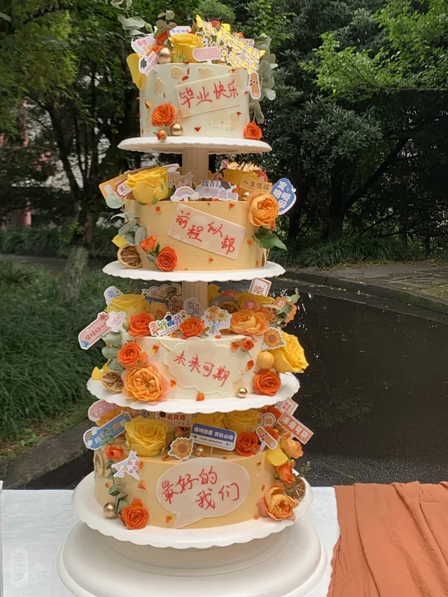 毕业蛋糕多层 - 小红书搜索-花瓣网