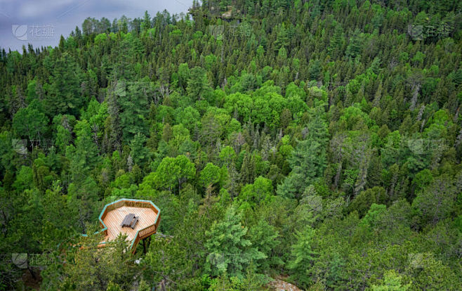 自然,加拿大,森林,航拍视角,安大略省,水平画幅,无人,树梢,户外,湖