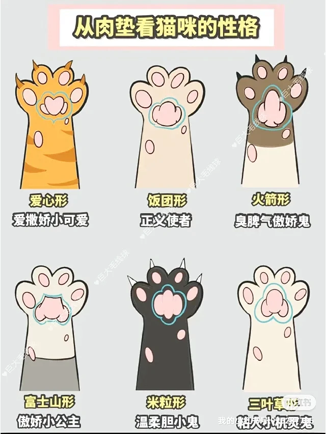 猫咪的爪垫看性格 - 小红书搜索图片_小红书萌宠封面图片素材-花瓣网