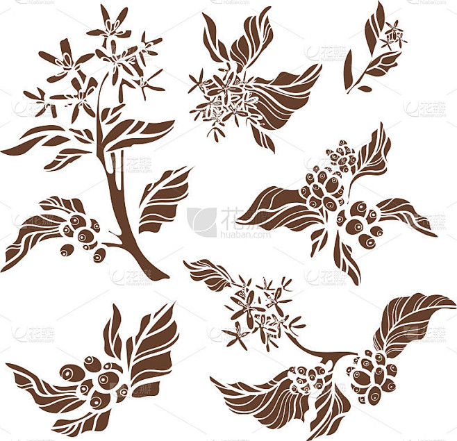 咖啡树的树枝。矢量图