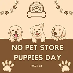 花瓣灵感详情页-花瓣网