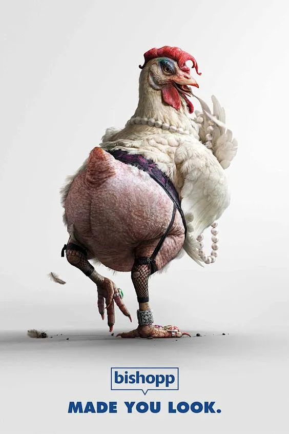 Bishopp. Made you look, you dirty chook. – Campaigns of the World®-花瓣网