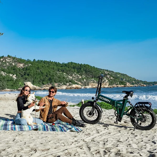 POLARNA M5 1000W Electric Bike for Adults - 48V 17AH Removable Battery ...