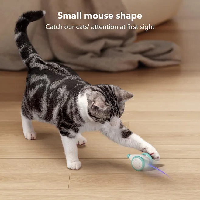 Amazon.com: PETLIBRO Interactive Cat Toy for Indoor Cats, [2023 ...