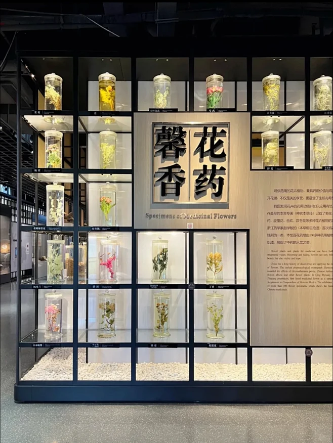 小众博物馆推荐%7C 浙江中医药博物馆 - 小红书-花瓣网