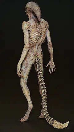 Neomorph - Jared Chaves COLLAB-花瓣网