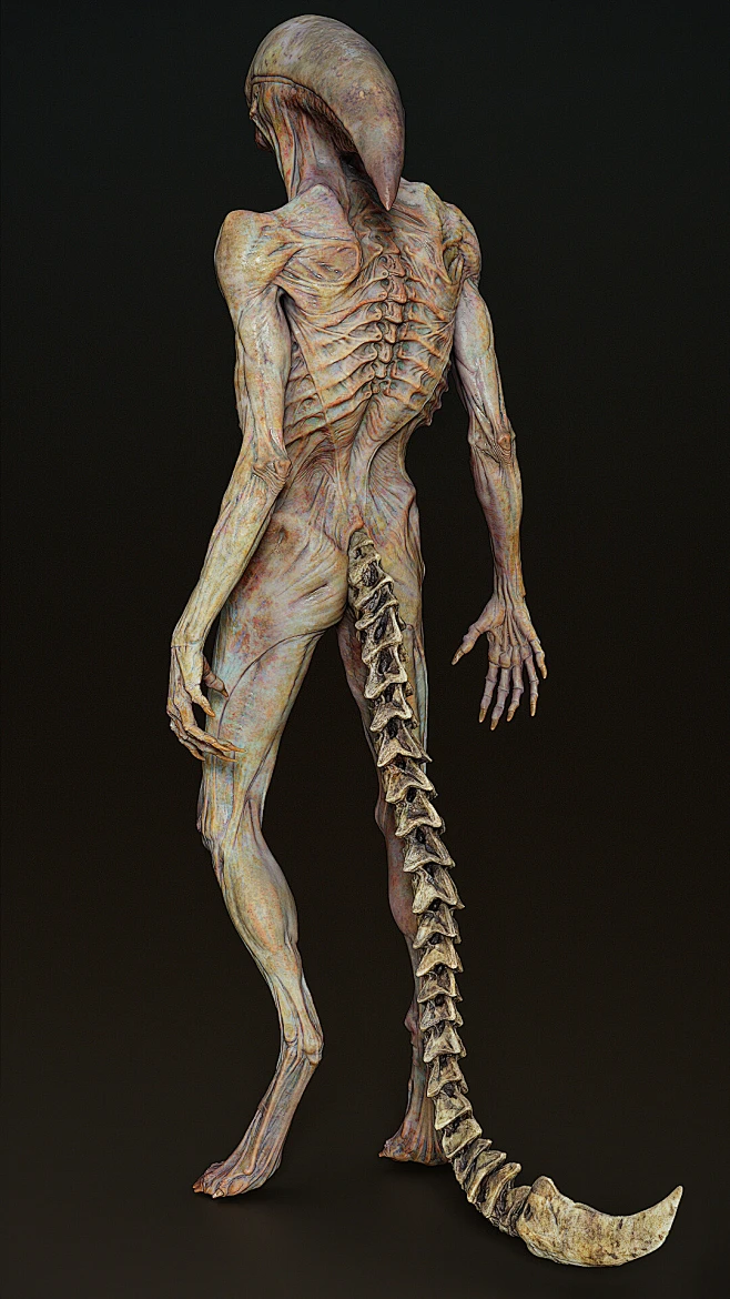 Neomorph - Jared Chaves COLLAB-花瓣网