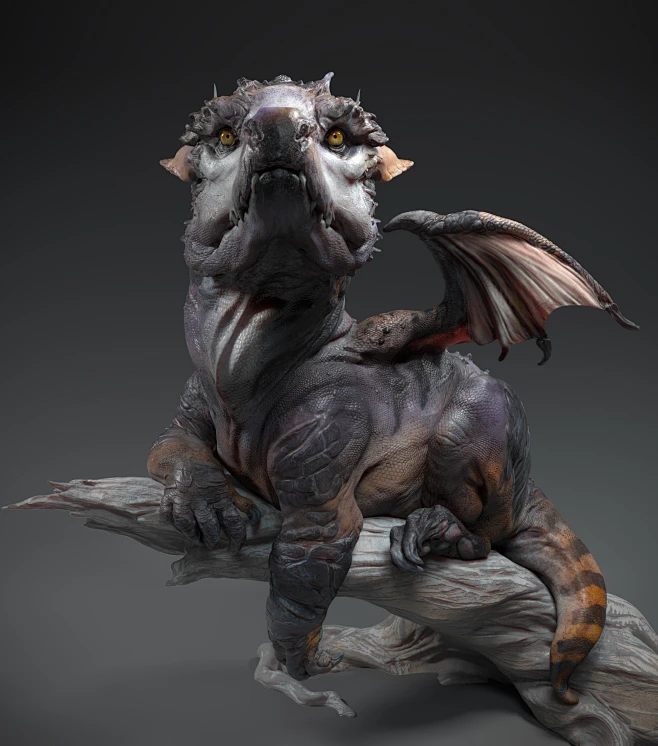 maria-panfilova-compose-image-front2-花瓣网