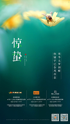 惊蛰 Insects awaken-花瓣网|陪你做生活的设计师 | 图片
