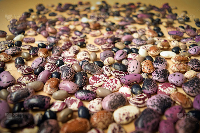 Dry Edible Beans