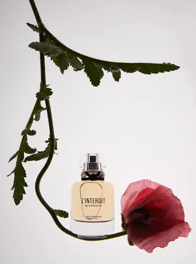 (213) Pinterest-花瓣网