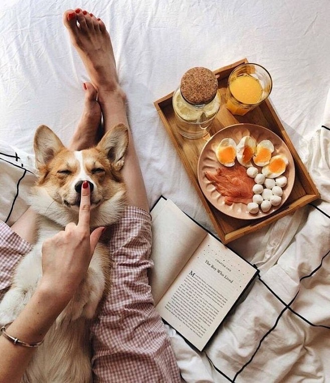 1662415746_5-gamerwall-pro-p-sobaka-i-kofe-instagram-6